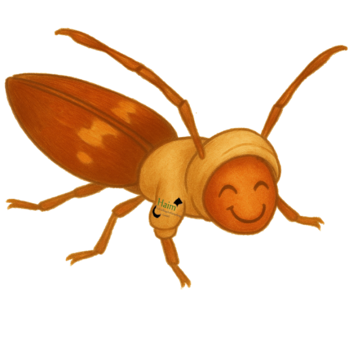 Lexikon der Schädlinge: Hausbock (Hylotrupes bajulus) | Haim GmbH